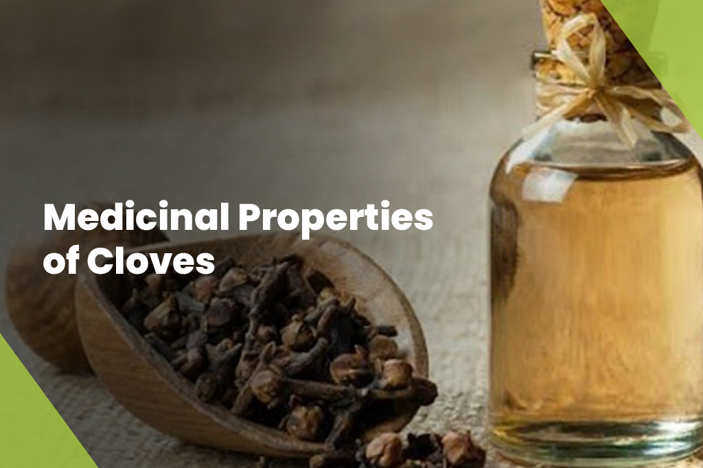 Medicinal Properties of Cloves Robust Madagascar