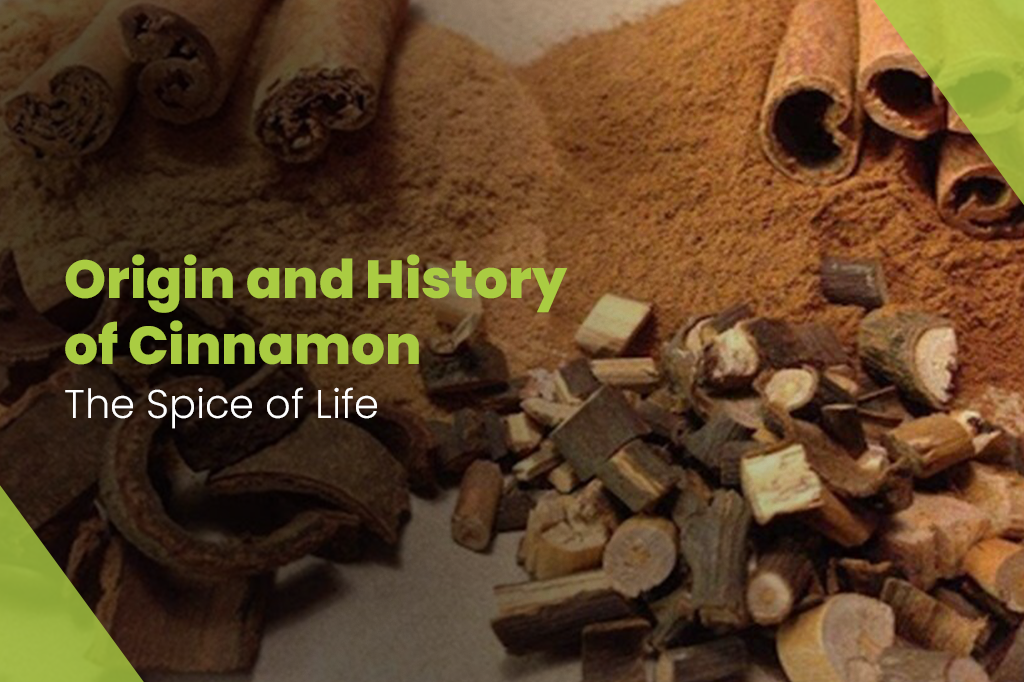 Cinnamon Madagascar: Origins & History | Robust Madagascar